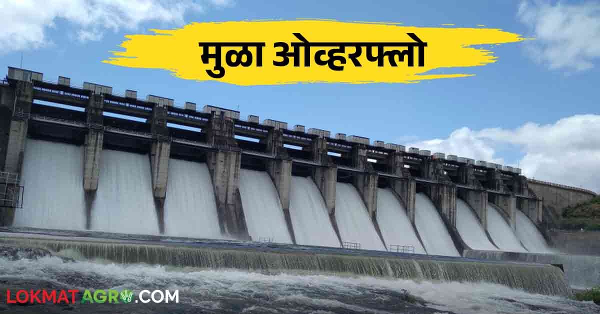 Mula Dam : मुळा धरण भरले.. ११ दरवाज्यातून जायकवाडीकडे चार हजार ...