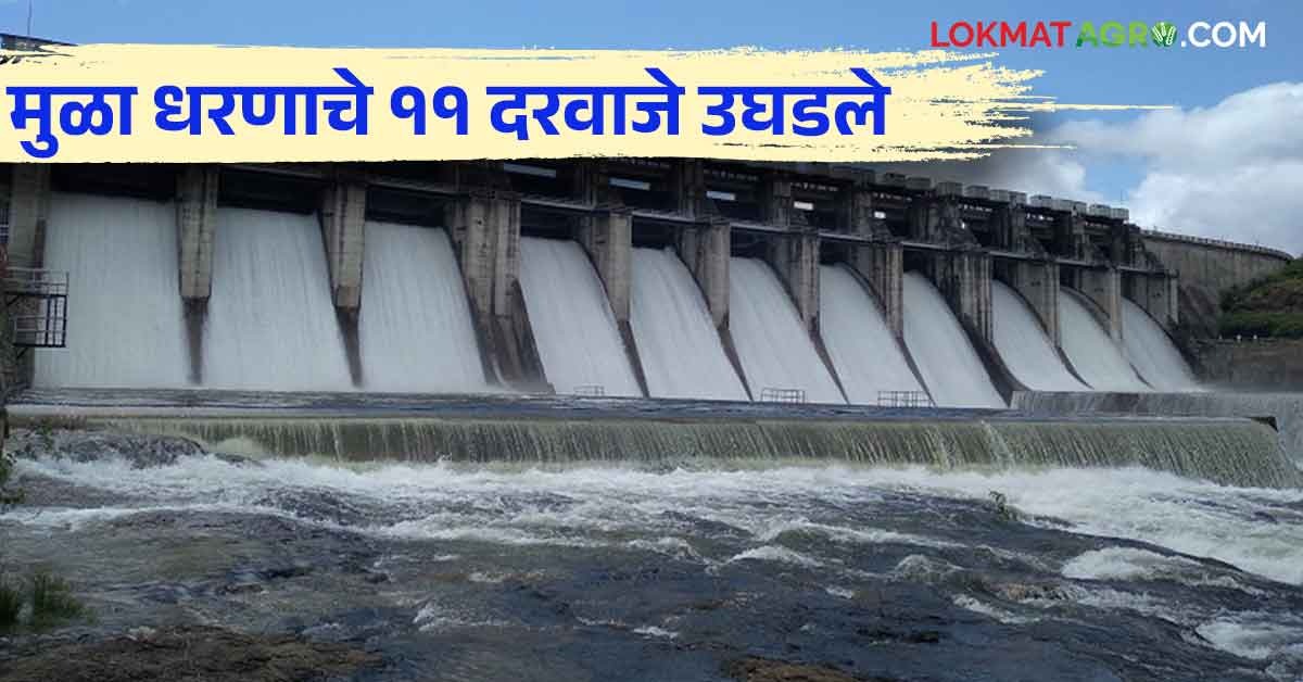 अखेर मुळा धरणाचे ११ दरवाजे उघडले जायकवाडीकडे विसर्ग सुरु | Finally the ...