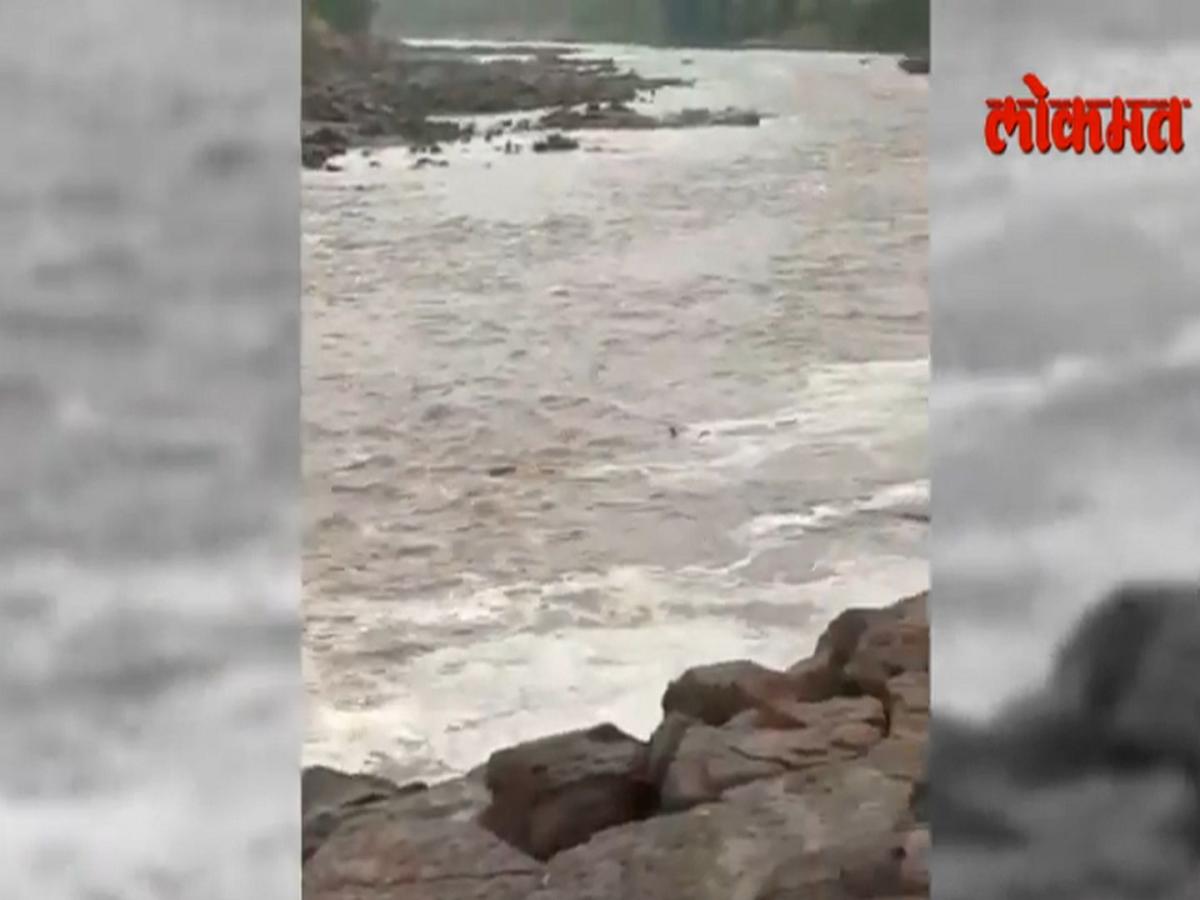 ...अन् नगरमधील मुळा नदी वाहू लागली! - Marathi News | mula river in ...