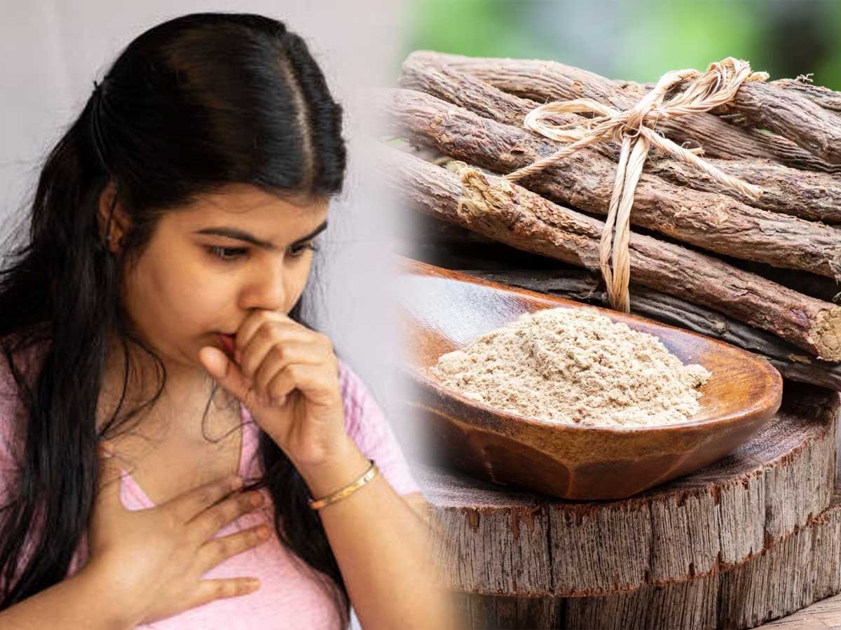 छातीत साचलेला कफ, घशाच्या खवखवीपासून होईल सुटका! फक्त १ छोटा तुकडा चघळा ...
