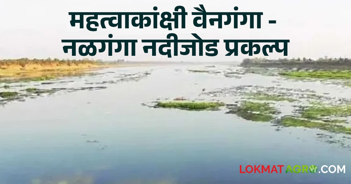 Wainganga-nalganga River Project : वैनगंगा-नळगंगा प्रकल्पाने जलसंकट दूर ...