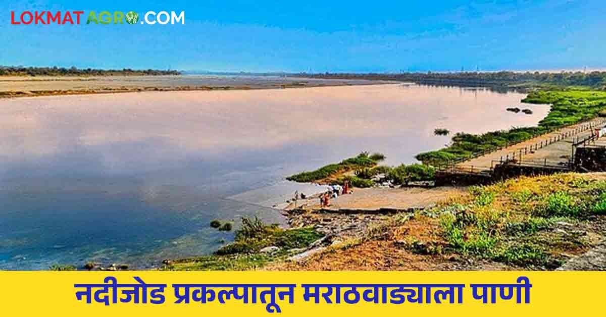 Marathawada Water Issue : वैनगंगा, नळगंगा नदीजोड प्रकल्पातून तरी ...