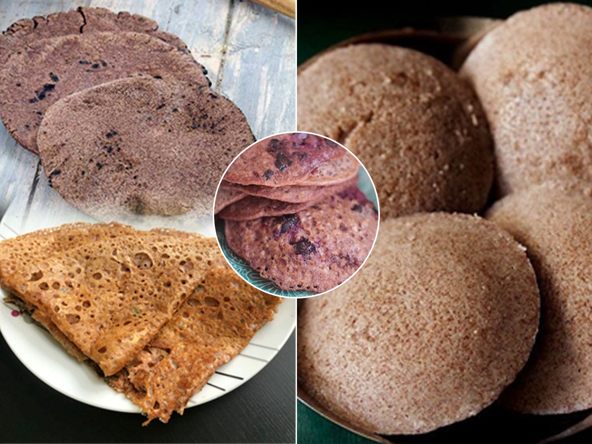 नागलीची भाकरी खाऊन खरंच वजन कमी होतं का? तज्ज्ञ सांगतात, आहारात नागलीचं ...