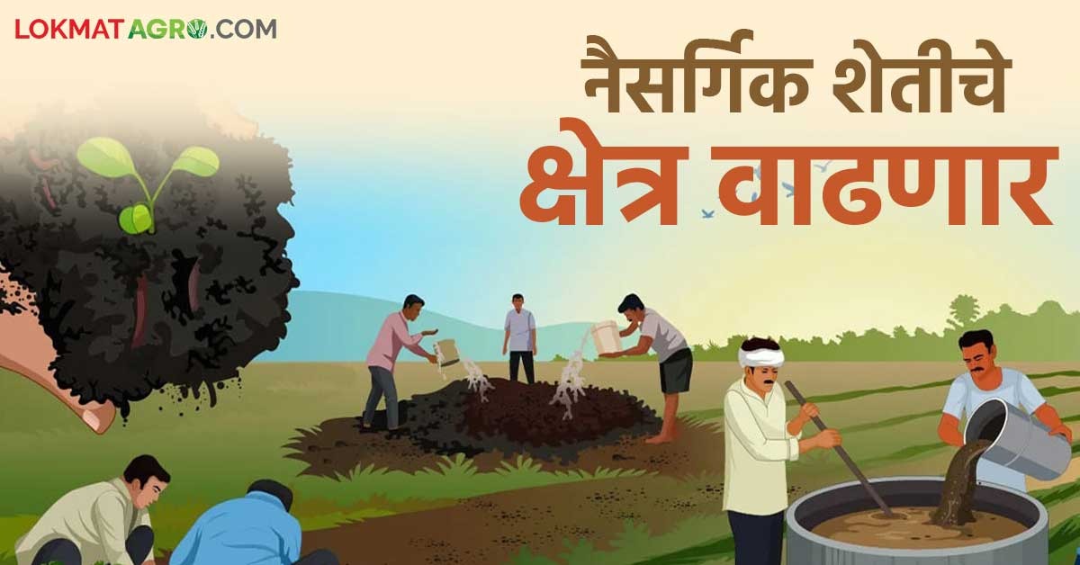 नैसर्गिक शेती प्रोत्साहन अभियानाला सुरवात; शेतकऱ्यांनो कसा घ्याल लाभ ...