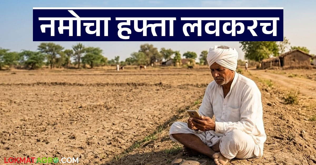 नमो शेतकरी योजनेचा आठवा हफ्त्याचा निधी आला, शासन निर्णय जारी, पैशांचं ...