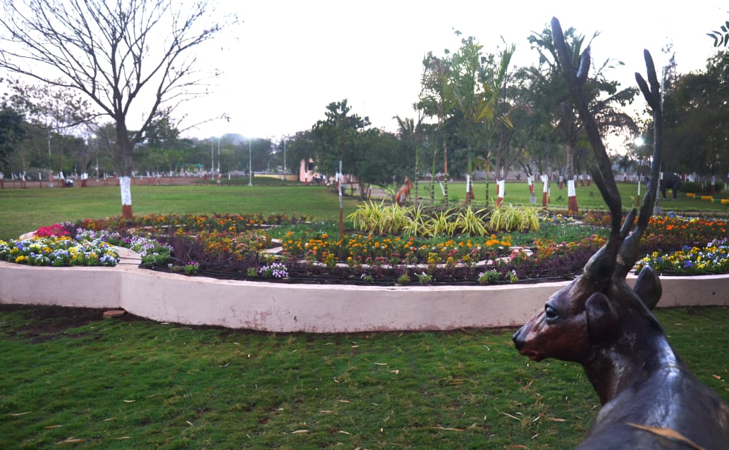 नाशिक मनपाने कानेटकर उद्यान साकारले चक्क वन जमिनीवर; वनखाते म्हणाले ...