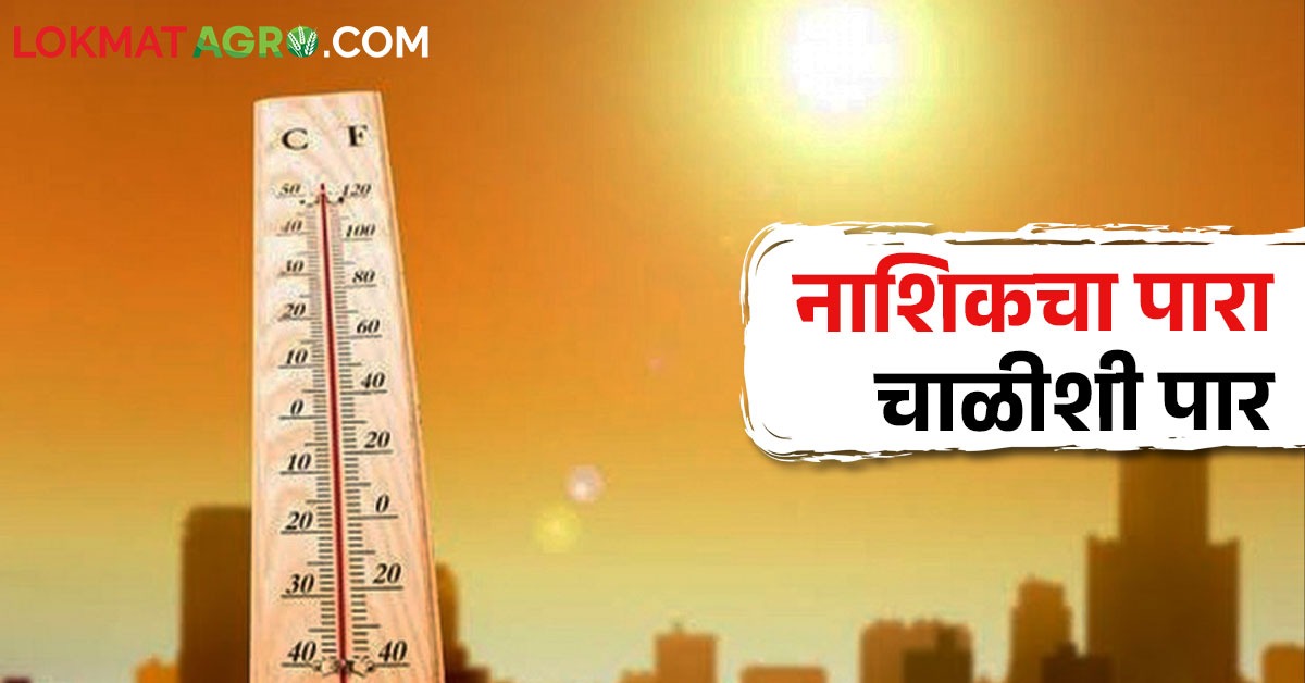 Nashik Temperature : नाशिक जिल्हा तापला, यंदाच्या हंगामातील सर्वाधिक 41 ...