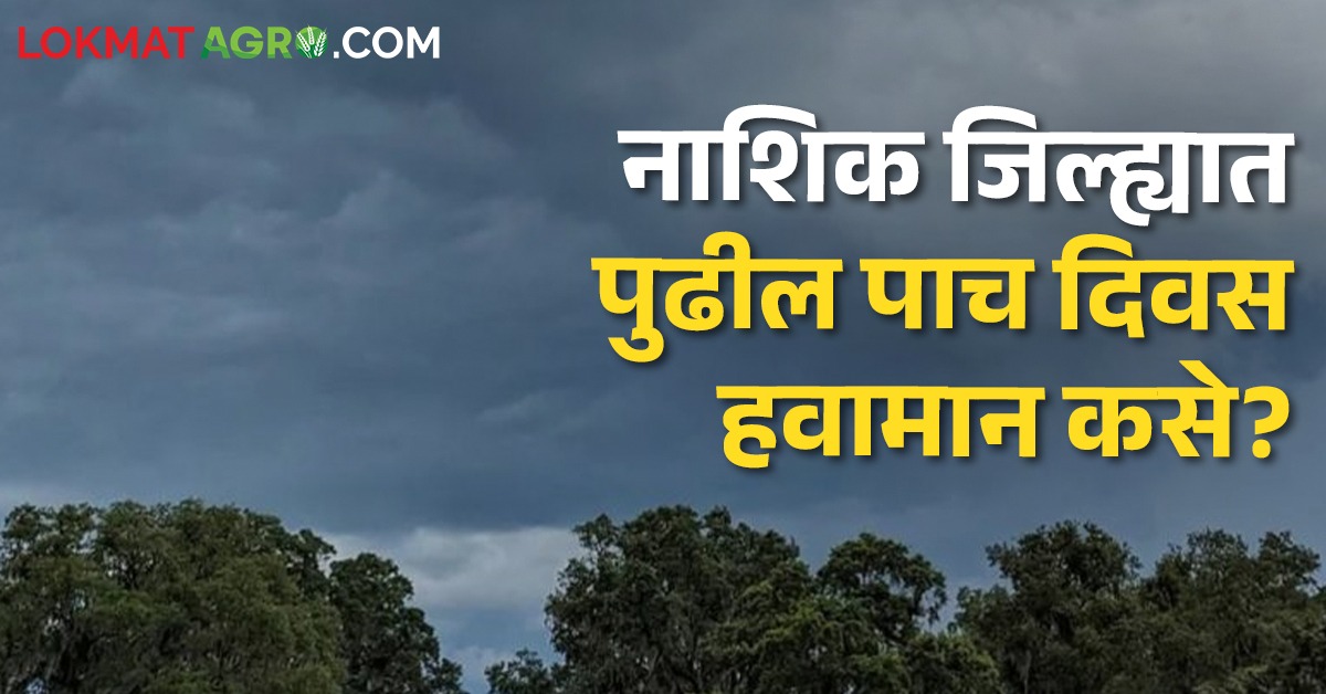 नाशिक जिल्ह्यात पुढील पाच दिवस हवामान कसे? वाचा हवामान अंदाज | Latest ...