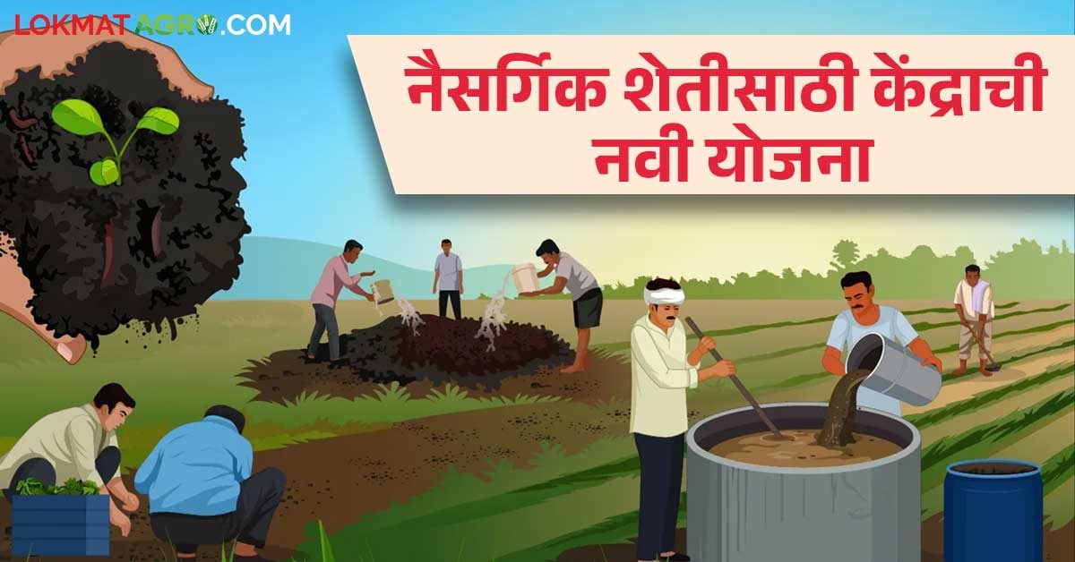 National Mission on Natural Farming : नैसर्गिक शेतीसाठी केंद्र सरकारने ...