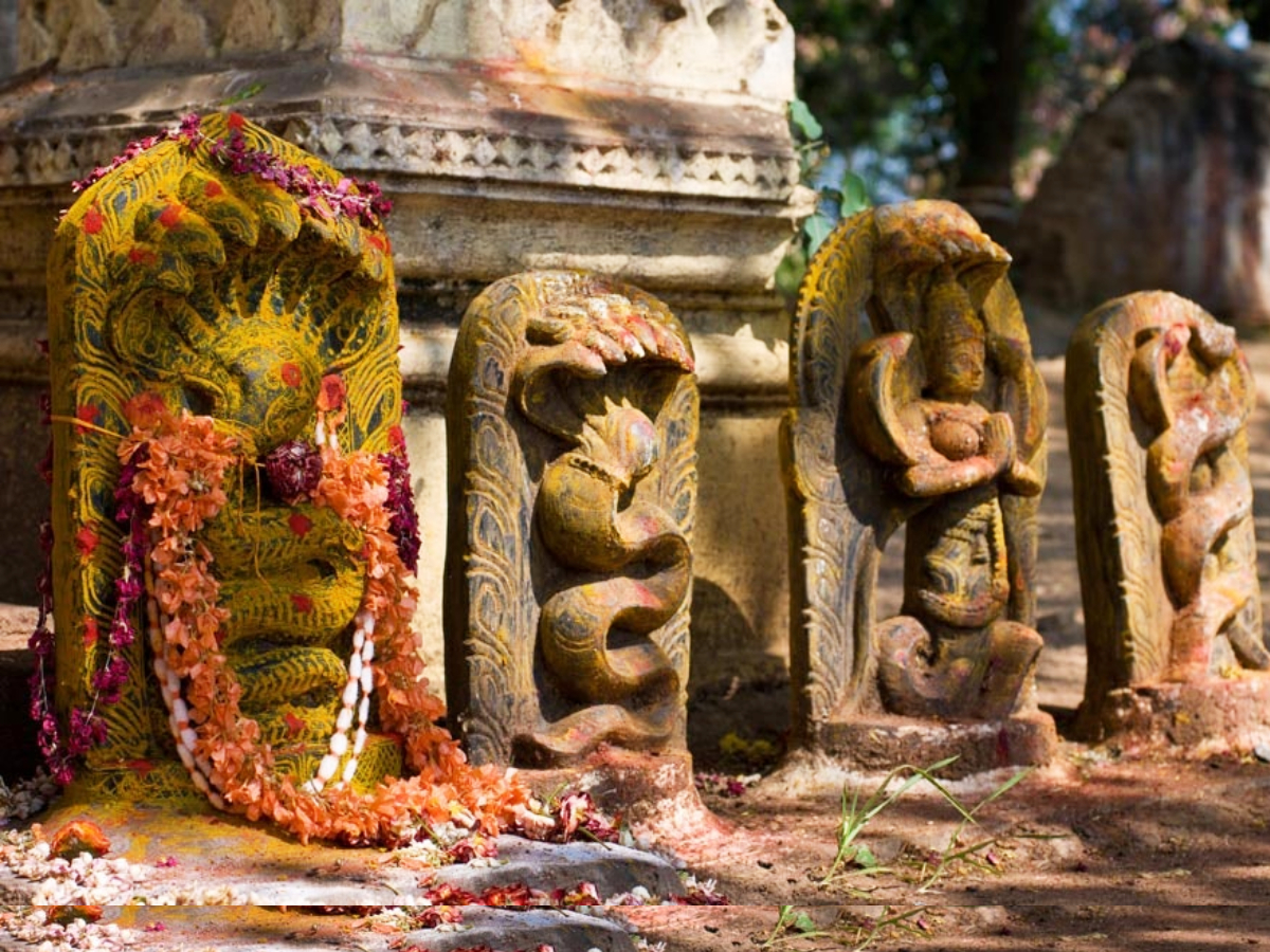 Nag Panchami 2022 : नागपंचमीनिमित्त जाणून घ्या नागपूजेचे पौराणिक संदर्भ ...