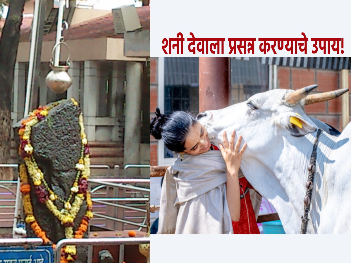 Shani Puja : शनी पूजेत दानाला आणि सेवेला अधिक महत्त्व का आणि कसे आहे ते ...