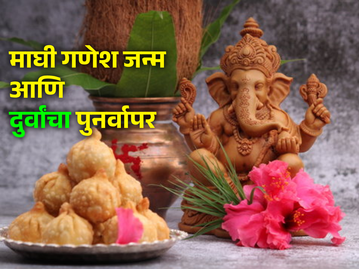 Astro Tips: माघी गणेश चतुर्थीला बाप्पाला वाहिलेल्या दुर्वांचा करा ...