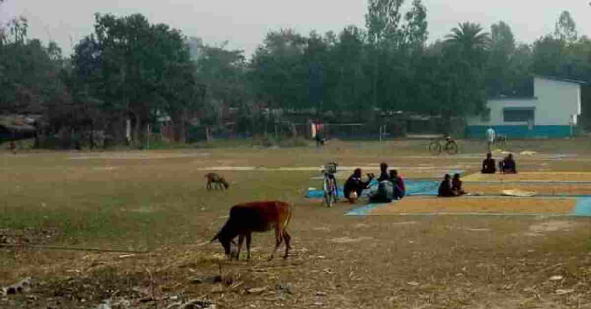 तालुका क्रीडा संकुलाची दुरवस्था, जनावरांचा मुक्तसंचार - Marathi News ...