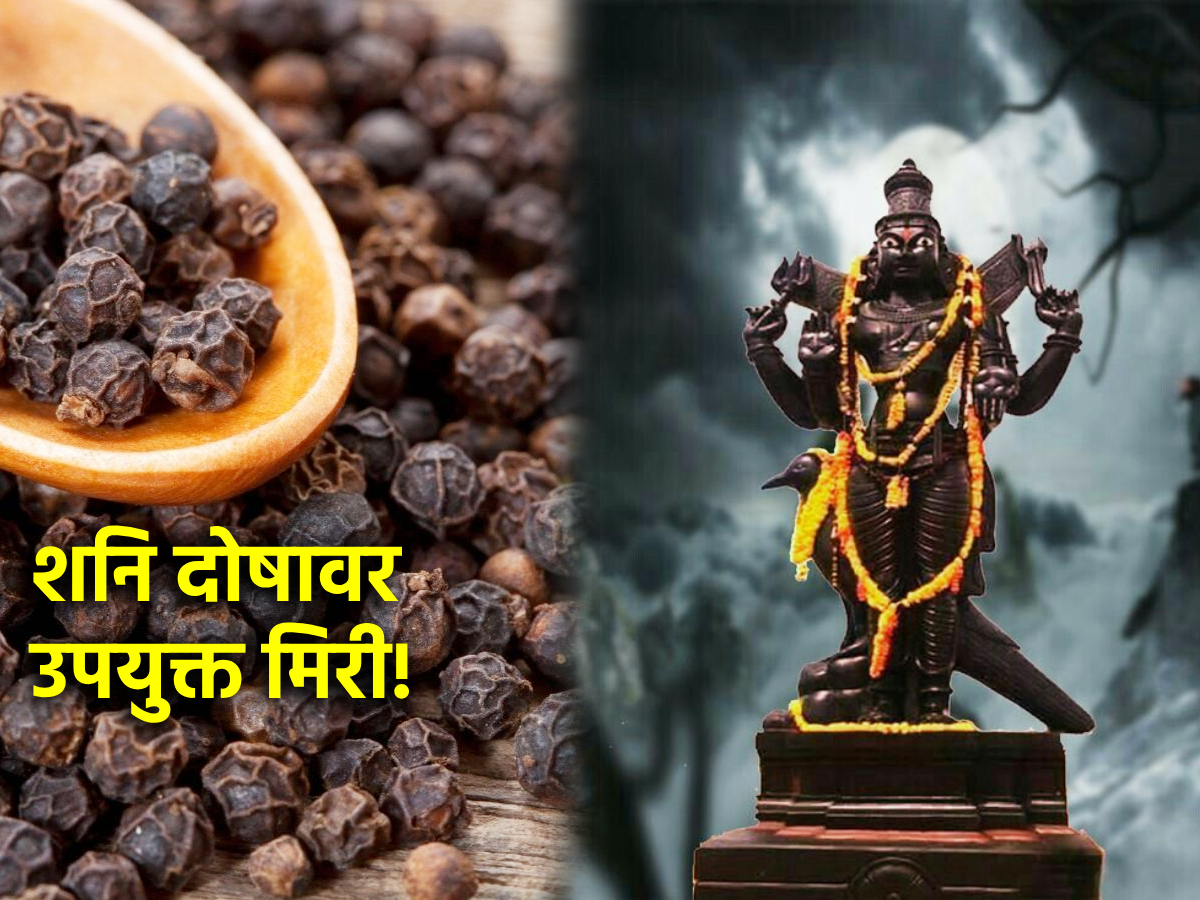 Astro Tips: मिरी दिसायला अगदीच छोटी, पण शनिदोष निवारण्यासाठी गुणकारी आहे मोठी! - Marathi News ...