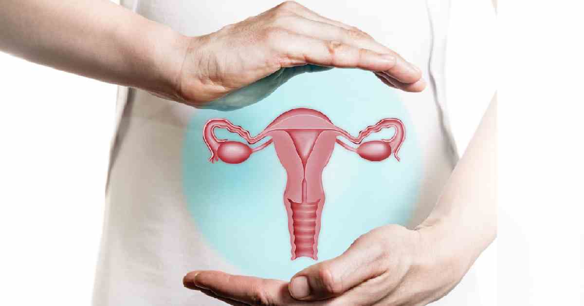 गर्भाशय पिशवीच्या आजाराची कारणे काय? महिलांनी काय काळजी घ्यावी? Vardha Marathi News | What are ...