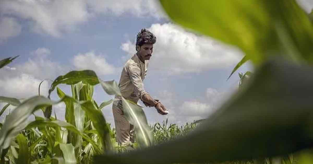 बोगस शेतकऱ्यांना तुमसरच्या तहसीलदारांनी बजावली नोटीस - Marathi News ...