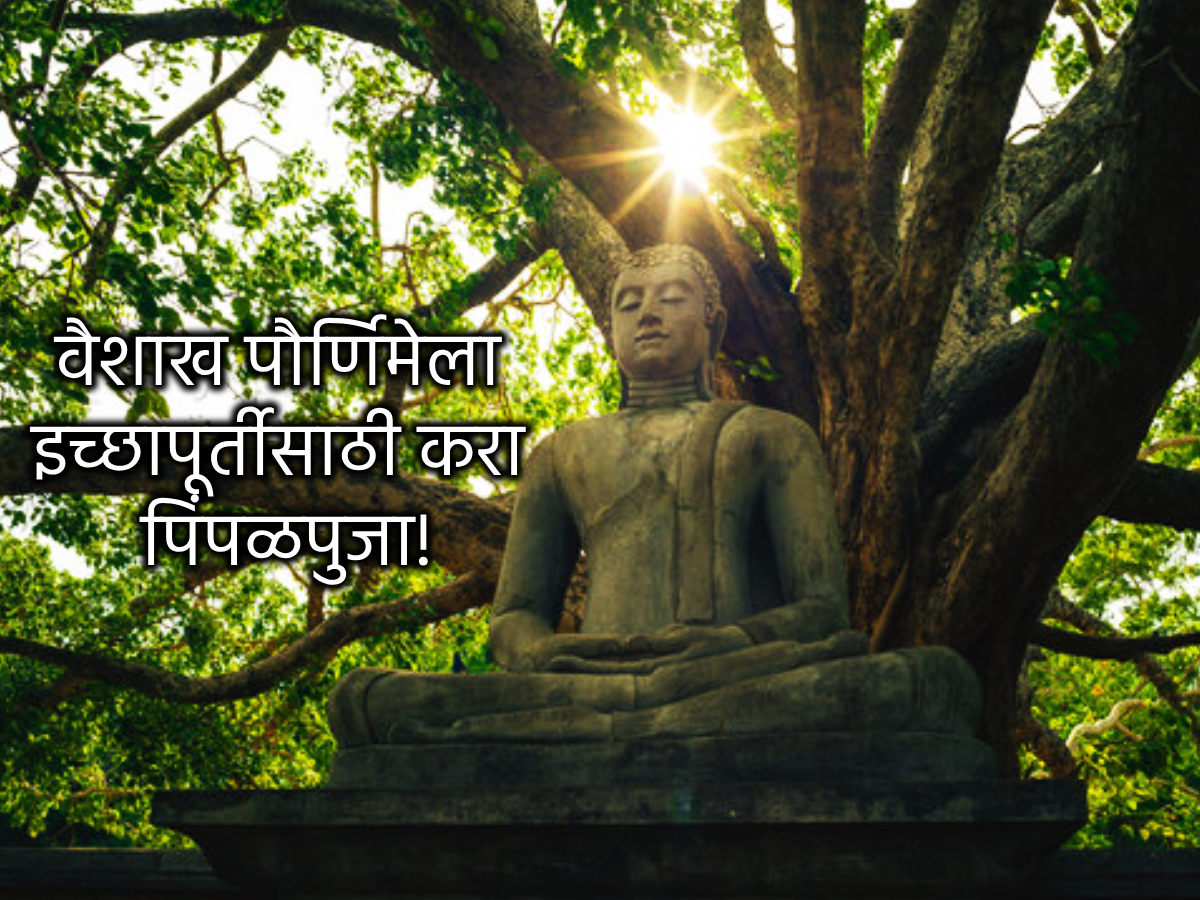 Vaishakh Purnima 2025: वैशाख पौर्णिमेला करा पिंपळाची पुजा; हा बोधीवृक्ष ...