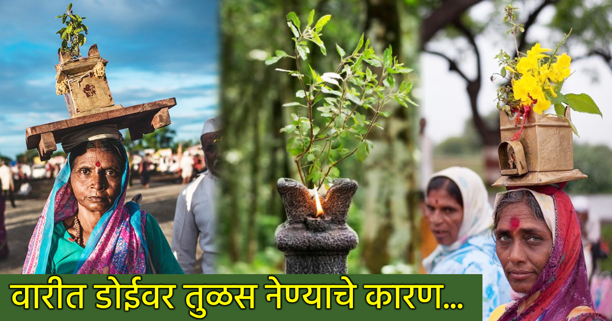 Ashadhi Wari 2025: दिंडीतून जाताना वारकरी महिला डोईवर तुळशी वृंदावन ...