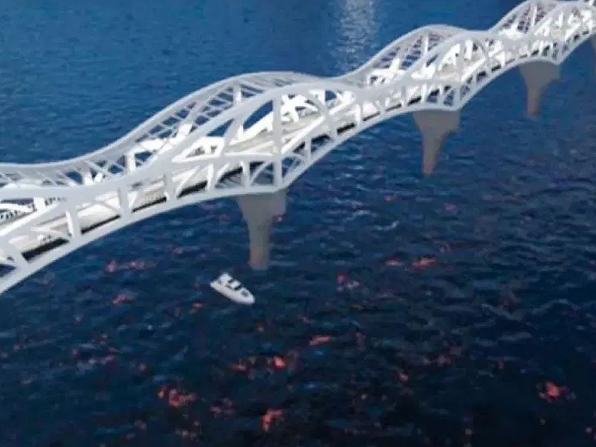 ‘एसपी सिंगला’चे करंजा पुलाचे कंत्राटही वादात, धरमतर खाडीत २.४ किमीचा ...