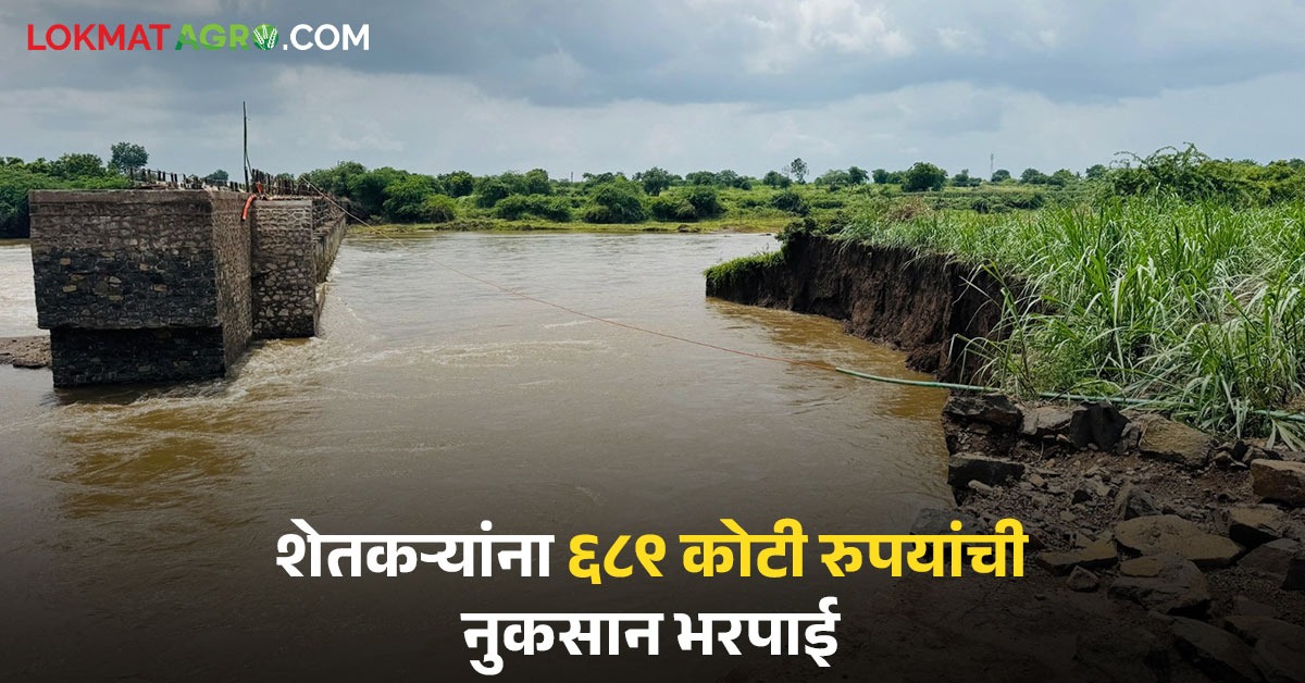 Nuksan Bharpai : तुमच्या जिल्ह्यातील शेतकऱ्यांना नुकसान भरपाईचे किती ...