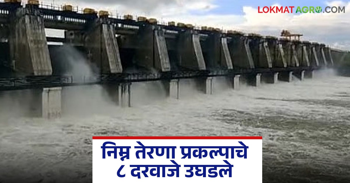 माकणी प्रकल्पाचे १२ तर निम्न तेरणा प्रकल्पाचे ८ दरवाजे उघडले; सरीवर सरी ...