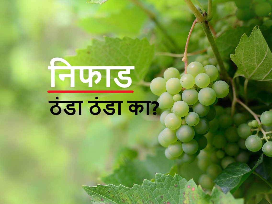 किकुलॉजी: निफाडमध्येच नीचांकी तापमानाची नोंद का होते? त्यावर काय उपाय ...