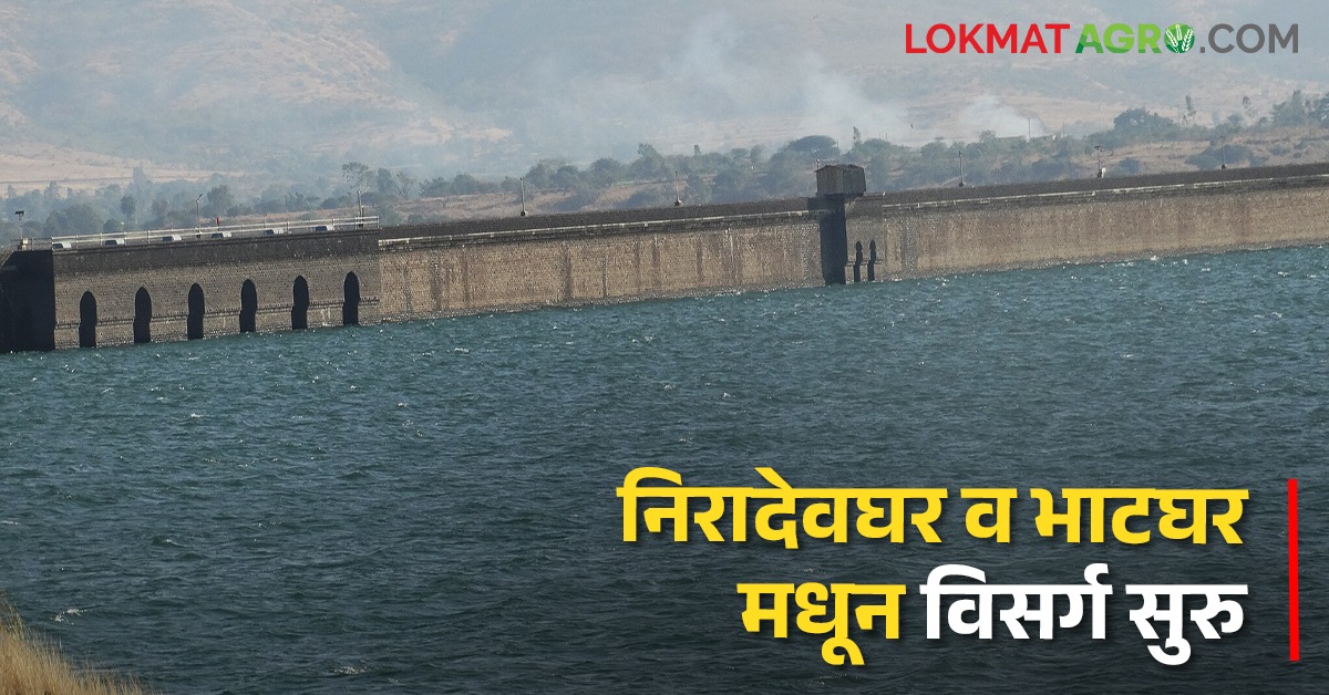 झळा दुष्काळाच्या; ब्रिटिशकालीन या धरणात उरलाय इतका पाणीसाठा | Drought ...