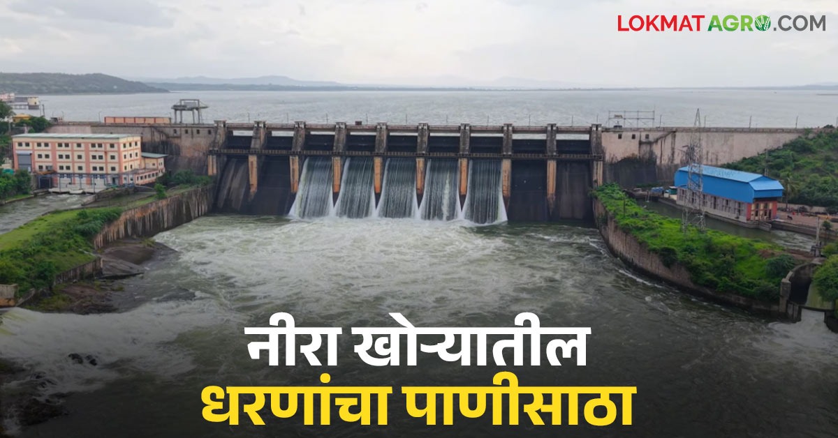 भाटघर, वीर, नीरा देवघर व गुंजवणी धरणांच्या पाणीसाठ्यात मोठी वाढ; जाणून ...