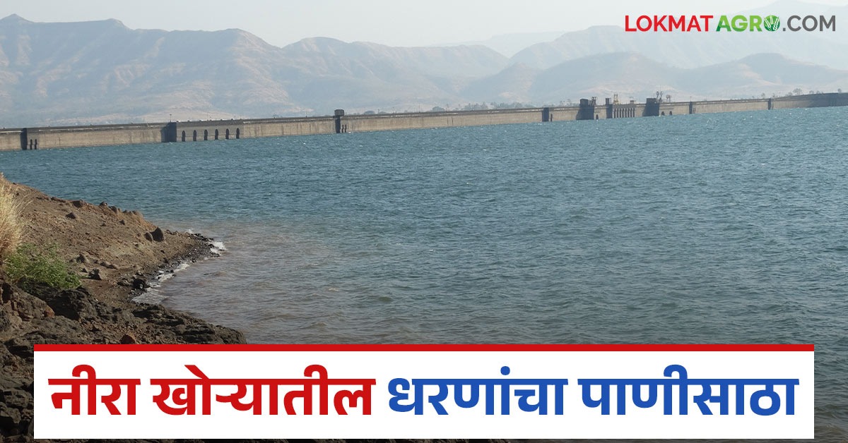 नीरा खोऱ्यातील भाटघर, नीरा-देवघर, वीर, गुंजवणी धरणात किती पाणीसाठा ...