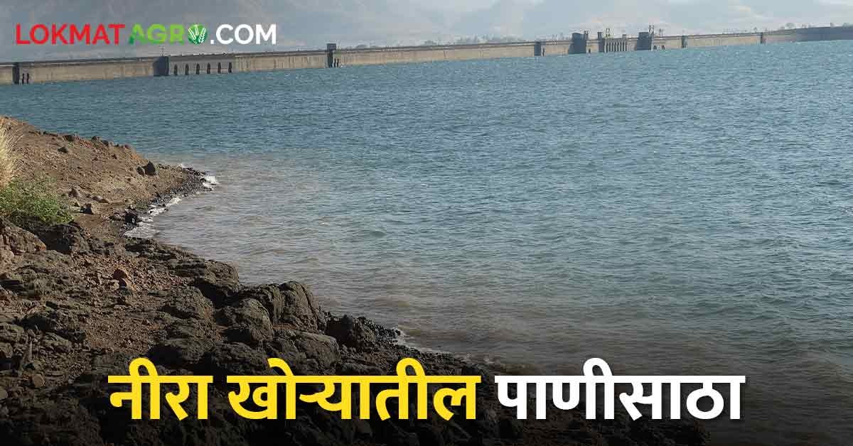 नीरा खोऱ्यातील धरणामधील पाण्याची पातळी वाढली | The water level in the ...
