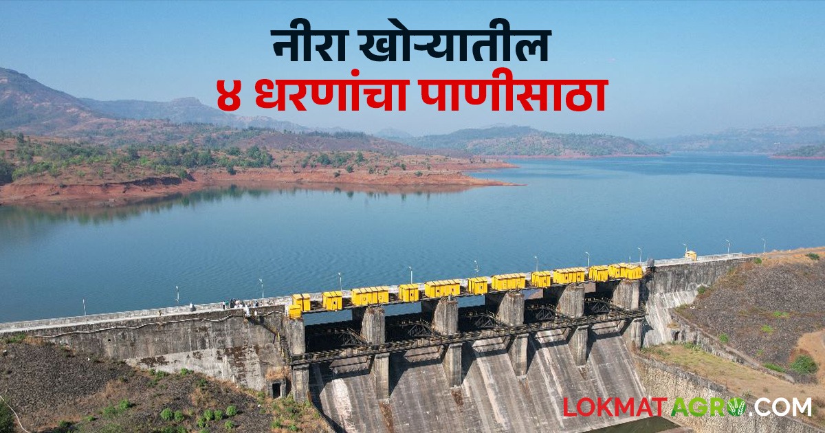 भाटघर, नीरा देवधर, वीर अन् गुंजवणी धरणांच्या पाणीसाठ्यात वाढ; धरणांत ...