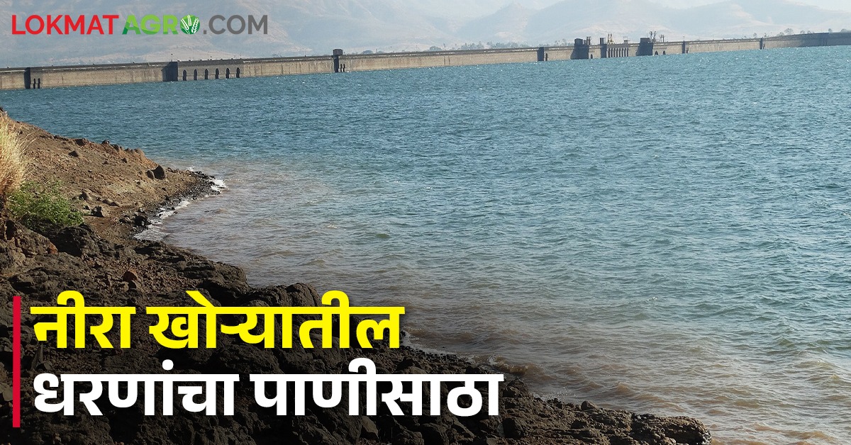 नीरा खोऱ्यातील धरणांत किती टक्के पाणीसाठा; विहिरींची पाणी पातळी खालावली ...