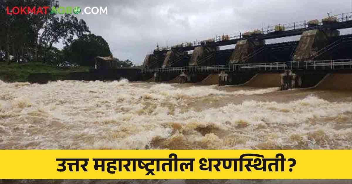 Maharashtra Dam Storage : उत्तर महाराष्ट्रातील 18 मोठी धरणे 30 ...