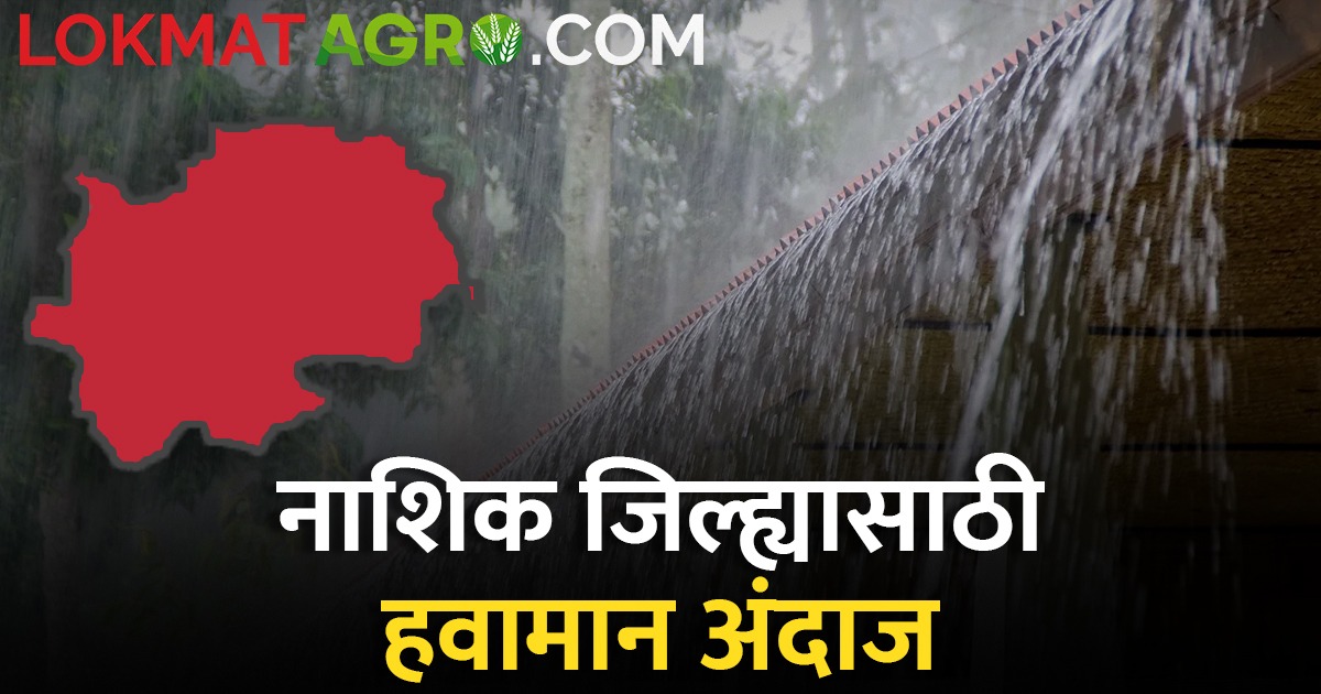 Nashik Weather : नाशिक जिल्ह्यात पुढील तीन दिवस अवकाळी पावसाची शक्यता ...