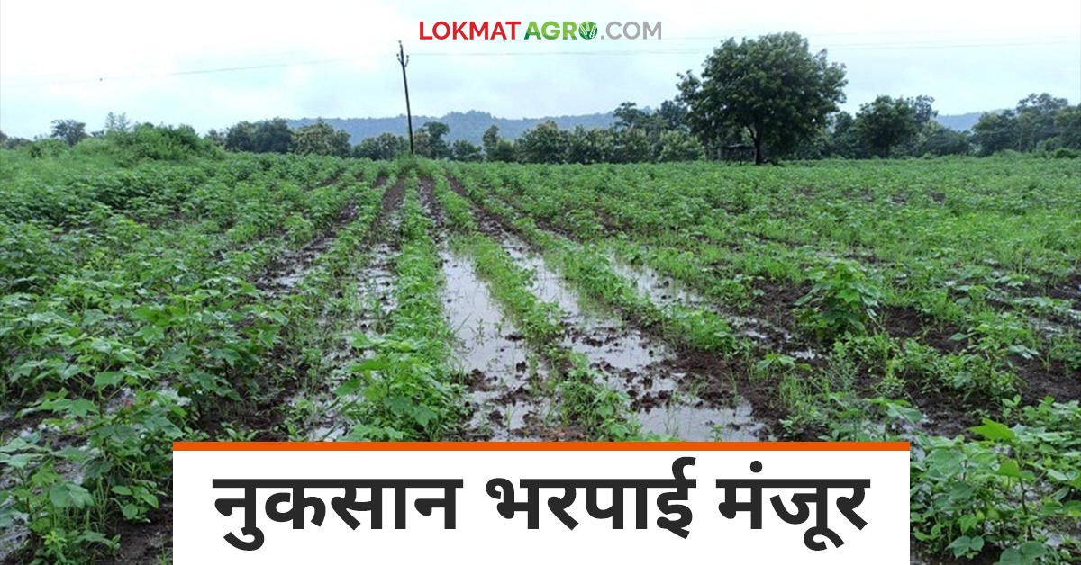Nuksan Bharpai : उर्वरित शेतकऱ्यांची नुकसान भरपाई मंजूर, कोणत्या ...