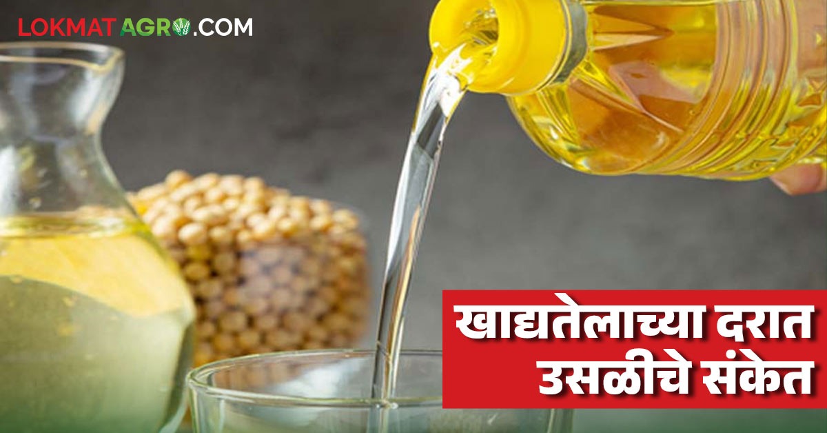 latest news Edible Oil Import Duty: Import duty likely to increase ...