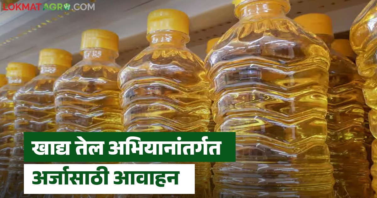 राष्ट्रीय खाद्य तेल अभियानांतर्गत मूल्यसाखळी भागिदारीसाठी अर्ज सादर ...