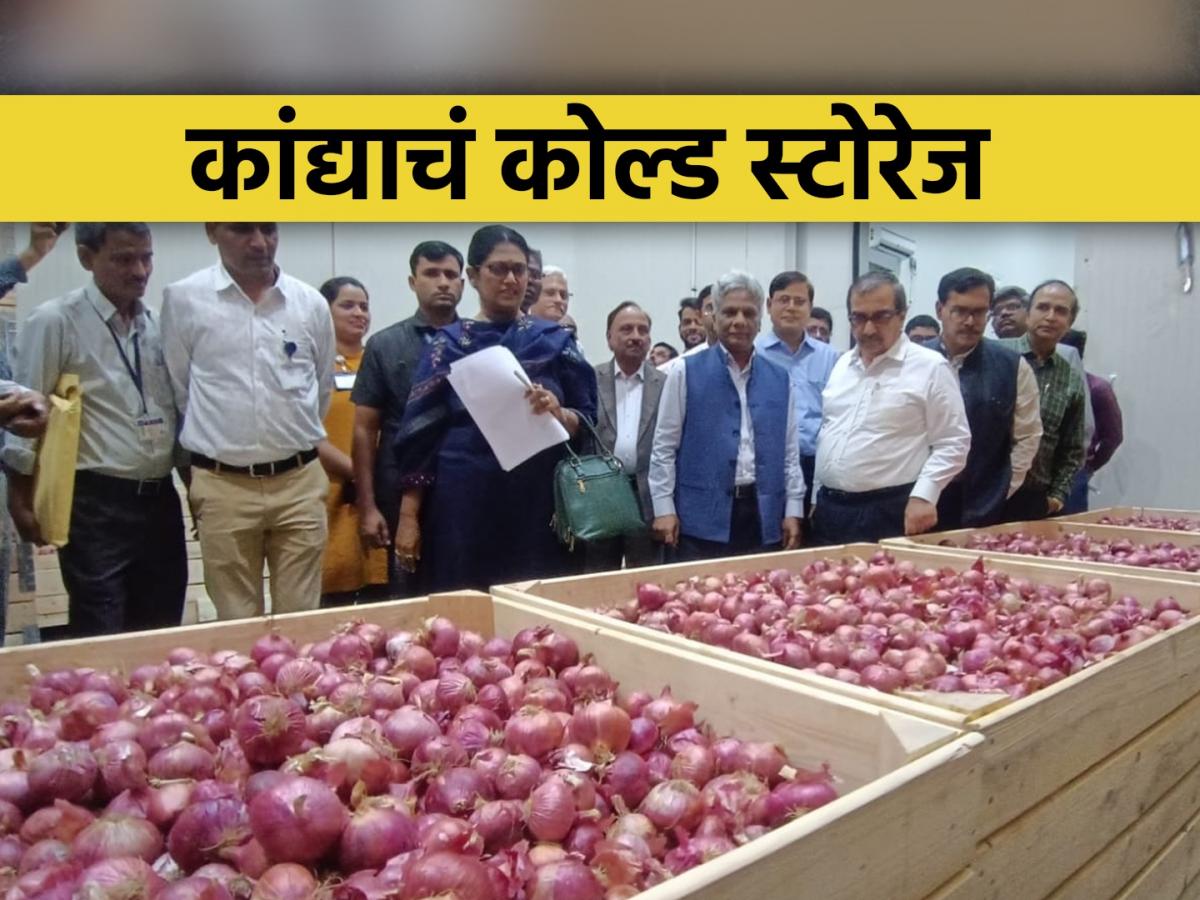 Onion Cold Storage : कांदा चाळीवर आधुनिक पर्याय, निफाडमध्ये 250 टन ...
