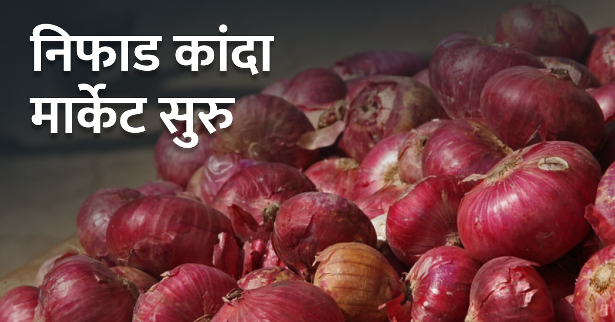 विंचूर निफाडचे कांदा लिलाव सुरू; जाणून घ्या आजचे कांदा बाजारभाव | Onion ...