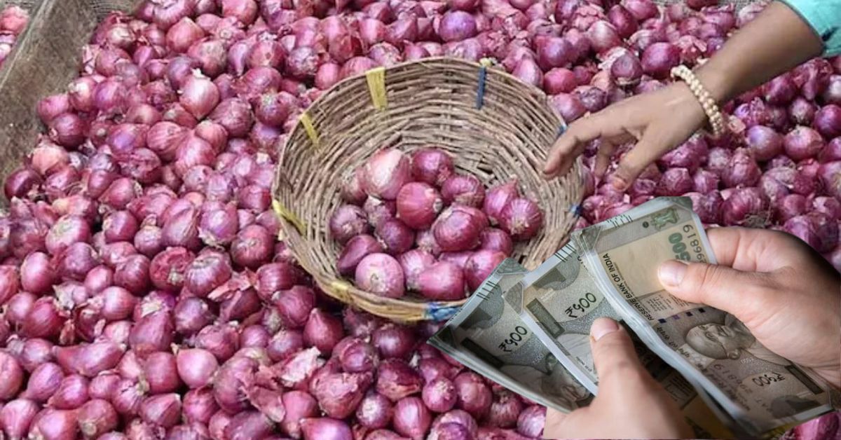 कांदा आणखी स्वस्त होणार; आंतरराष्ट्रीय आणि महाराष्ट्रातील तीन कारणे ठरणार भाव? Nashik Marathi ...