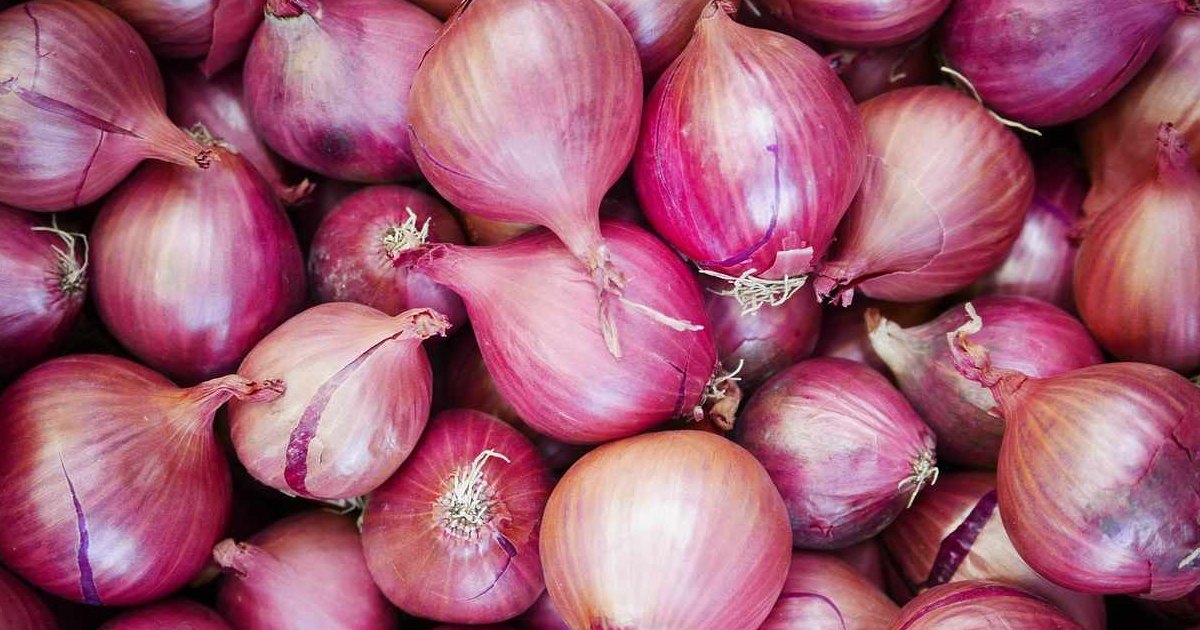 Onion Price Hike : महाराष्ट्रात कांद्याचे भाव गगनाला भिडणार? नेमकं करण तरी काय? Maharashtra ...