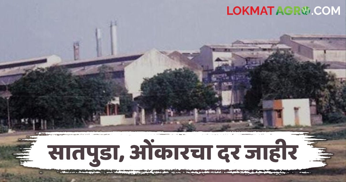 Sugarcane Rate : सातपुडा, ओंकार शुगरतर्फे उसाला प्रतिक्विंटल 2800 ...