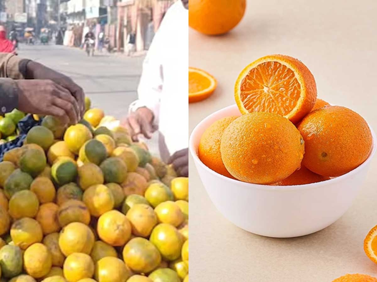 संत्री गोड आहे की आंबट? खरेदीपूर्वी ३ गोष्टी तपासा, न खाताही सेकंदात ...