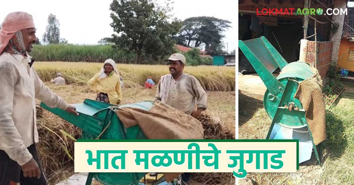 बोरवडेच्या साठे बंधूंनी भात मळणीसाठी केले देशी जुगाड; एक तासात होतेय १० ...