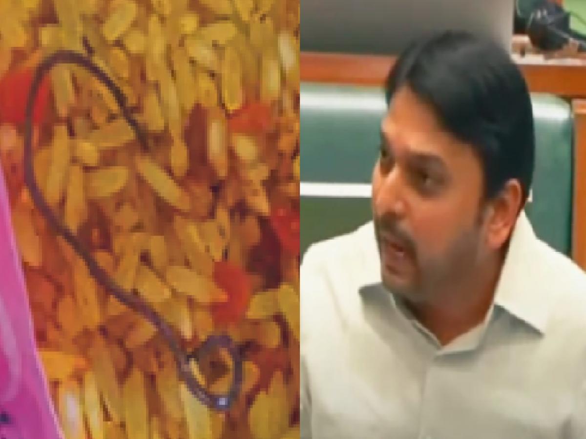 पलूसमधील पोषण आहारात मृत साप; ठेकेदारावर कारवाई करा, विश्वजित कदम यांनी ...