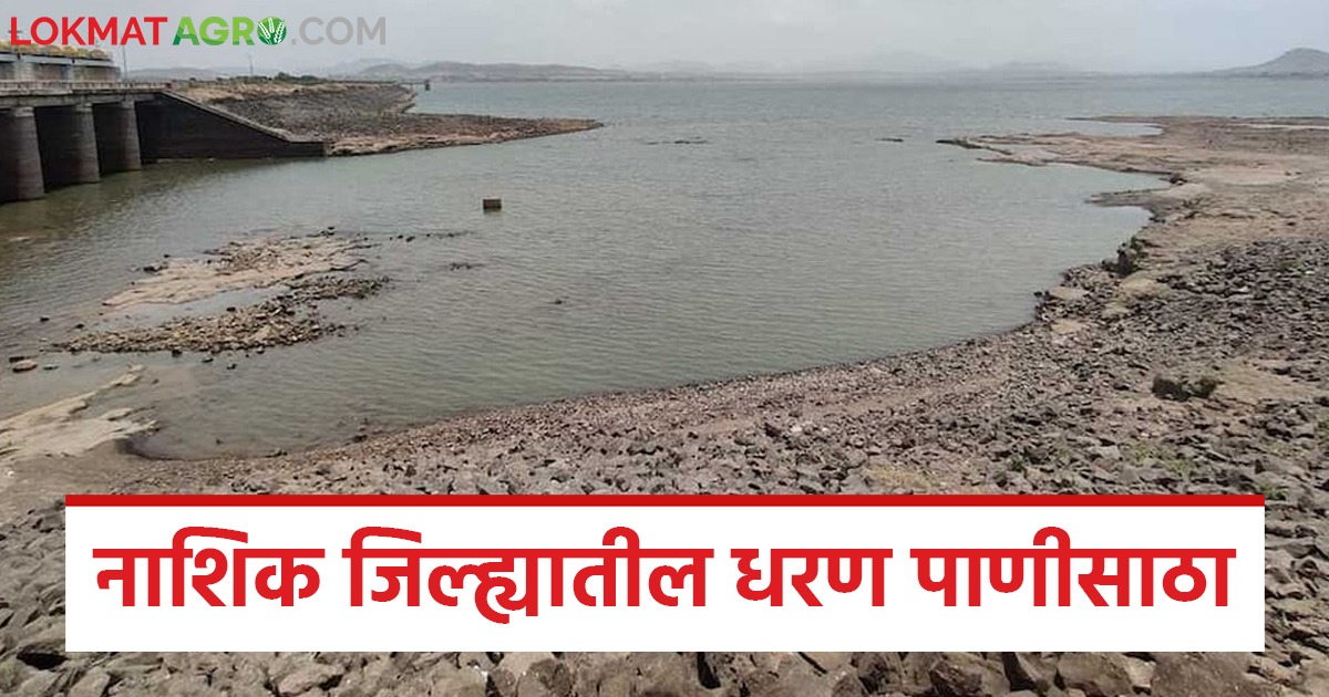 नाशिकचा जलसाठा 35 टक्क्यांवर, गंगापूर धरणात किती पाणी, चार दिवसांत अडीच ...