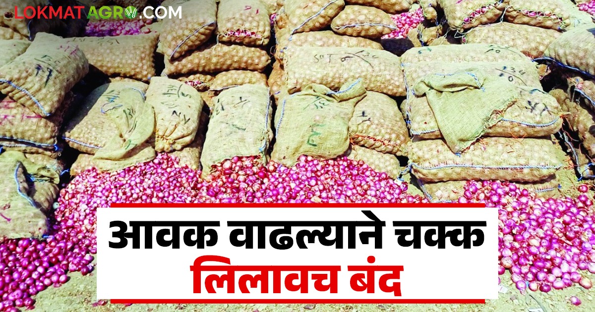 एकाच दिवसांत तब्बल ९३ हजार कांदा गोण्यांची पारनेर बाजारात आवक; वाचा काय ...