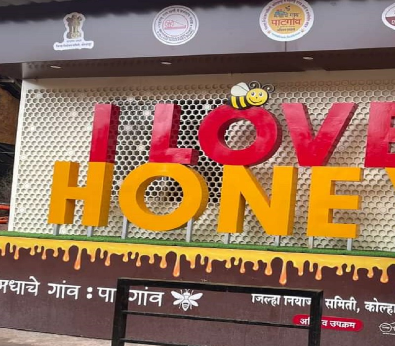 मधाचे गाव पाटगावचे सर्वोत्कृष्ट ग्रामीण पर्यटन ग्राम म्हणून झाले ...