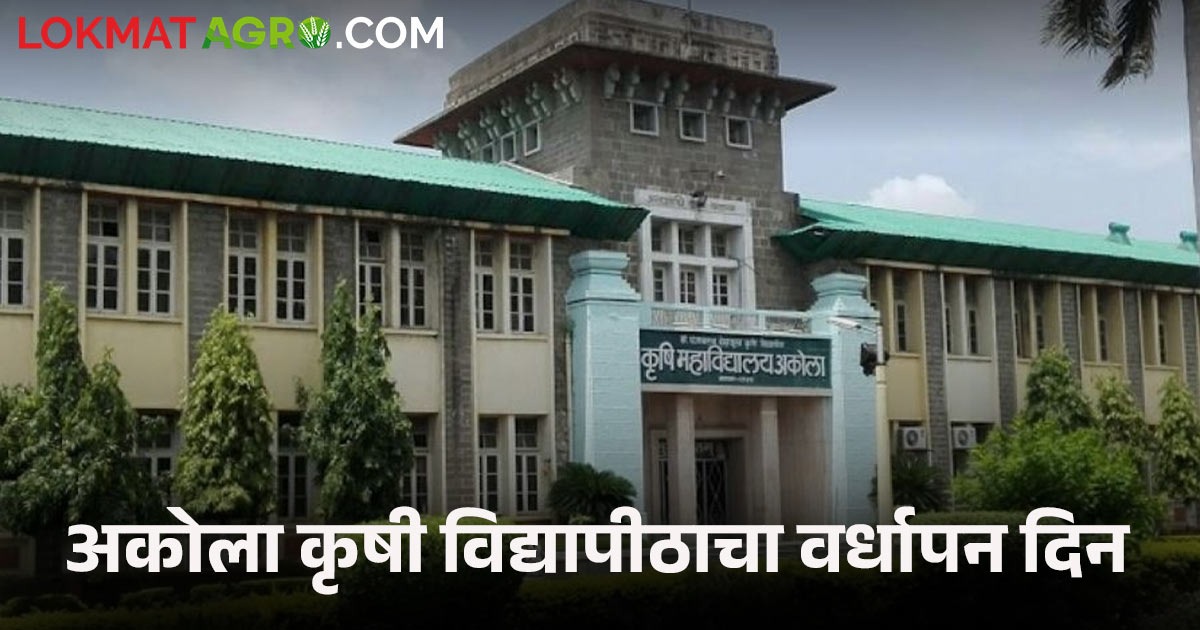 Agriculture News : अकोला कृषी विद्यापीठाकडून 55 वर्षांत 181 नवे वाण ...