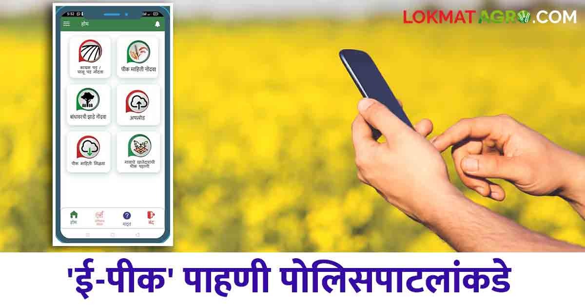 E Pik Pahani : ई-पीक पाहणी नोंद करण्याची जबाबदारी आता पोलिसपाटलांकडे ...